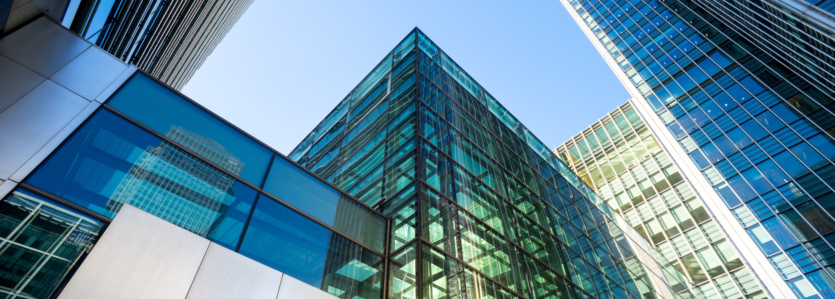 Building Service Contractors